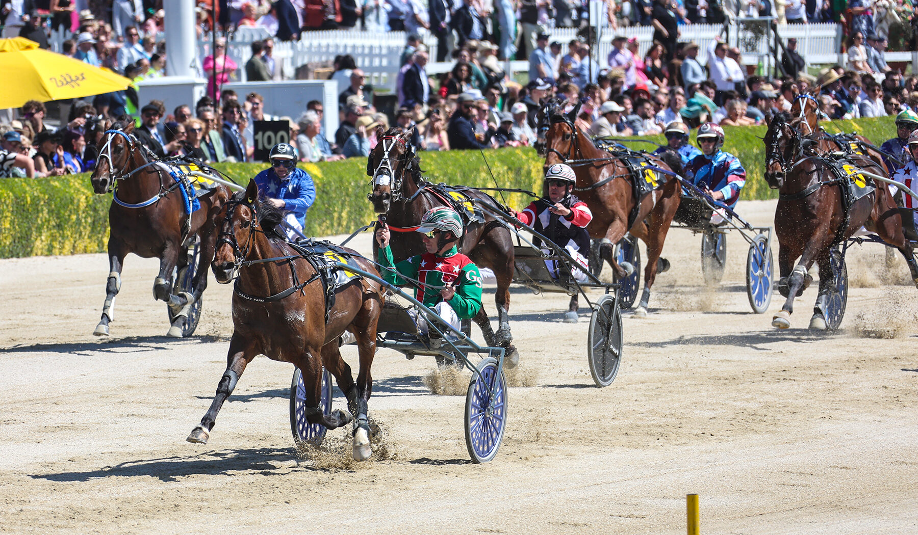 Racing Future Of Champion Trotter In Limbo - Racenet