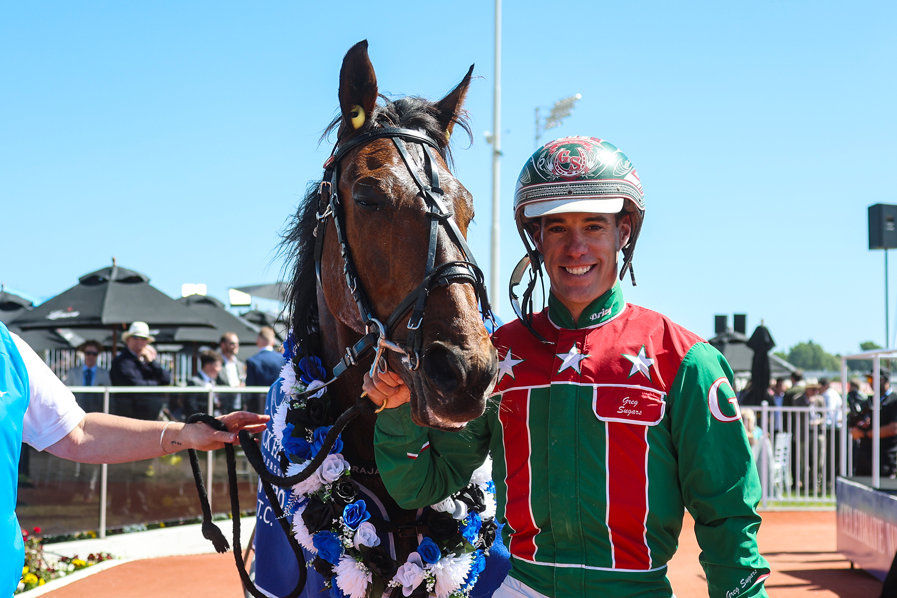 Racing Future Of Champion Trotter In Limbo - Racenet