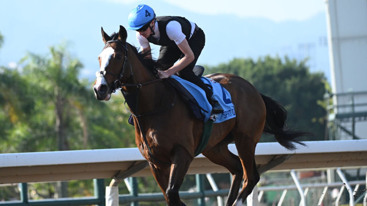 Spirit Dancer in sparkling form, eyes Romantic Warrior upset