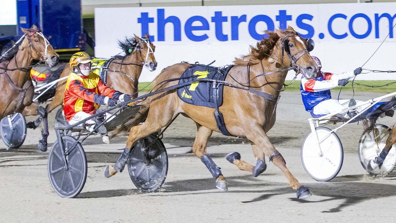 ‘Got to pinch yourself': Trainer's amazing Inter Dominion feat