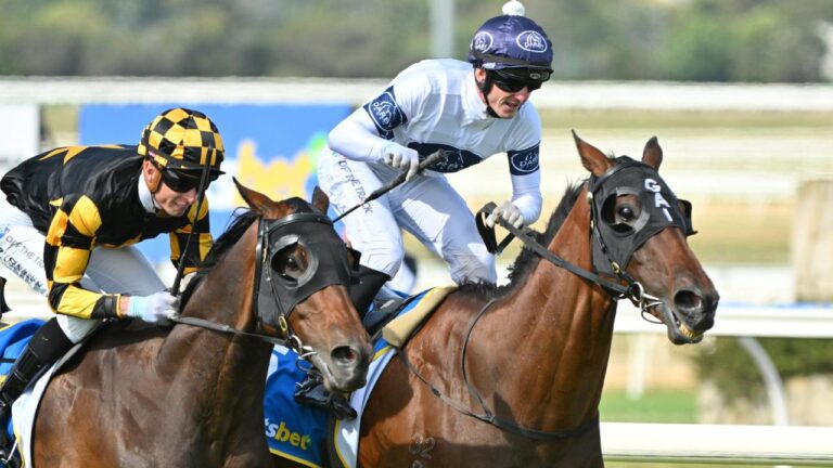 Pakenham Cup 2025 Tips, Betting & Results - Racenet