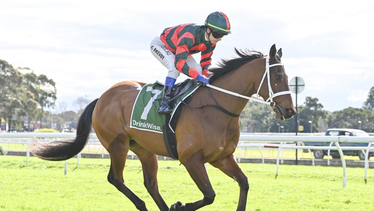 Kembla, Corowa, Gilgandra best bets, inside mail for Saturday, December ...