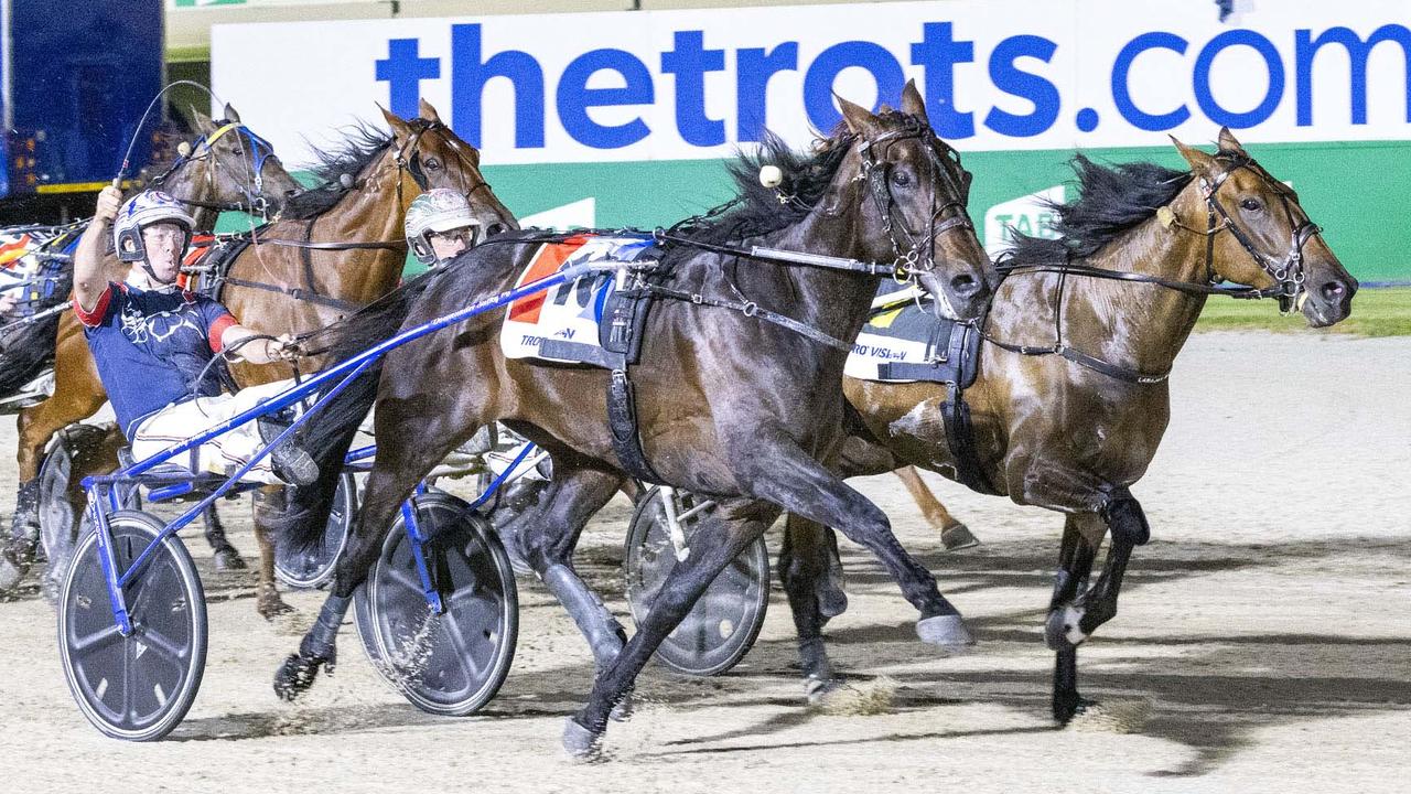 Superstar French import to miss Great Southern Star defence