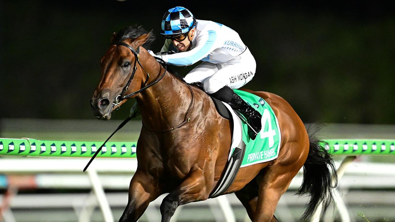 The hype is real as Private Harry stuns in Sunlight romp