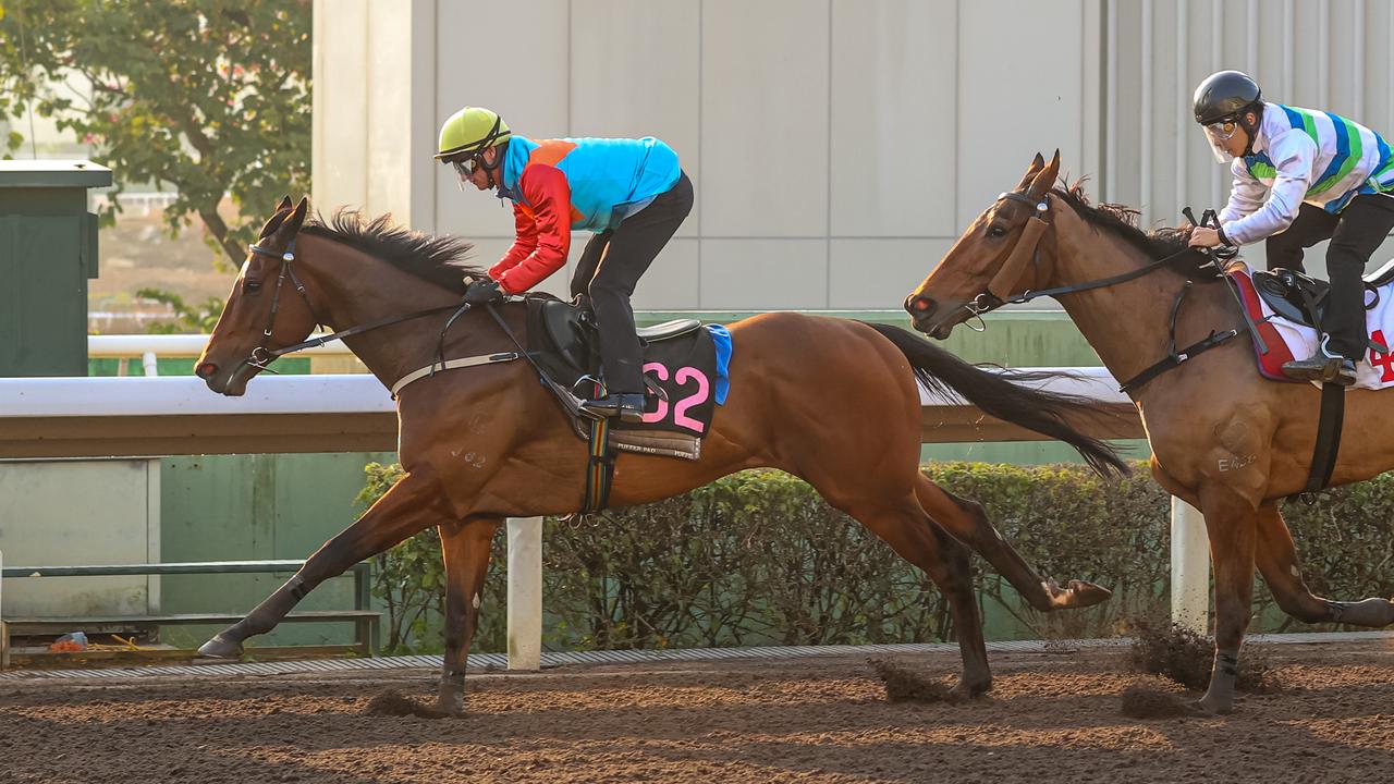 Ka Ying Rising on target for G1 Centenary Sprint Cup after Sha Tin ...