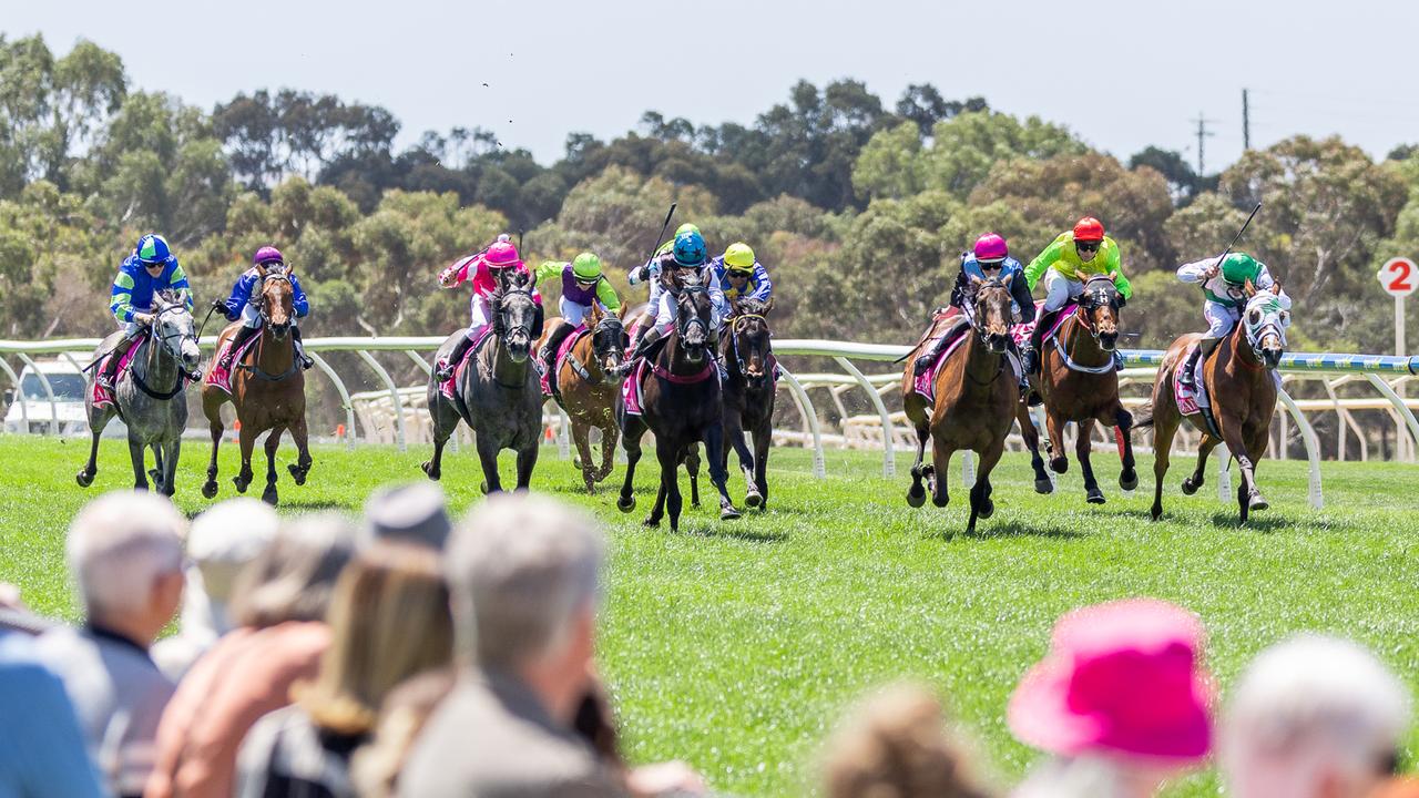 Racing SA announces land purchase to expand Strathalbyn racecourse