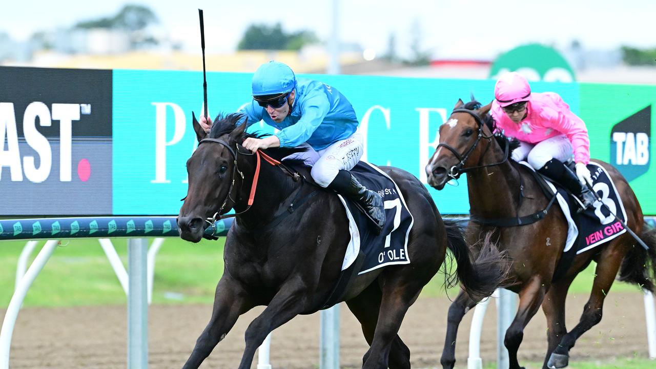 Magic Millions 2YO Classic 2026 Field, Tips & Odds - Racenet