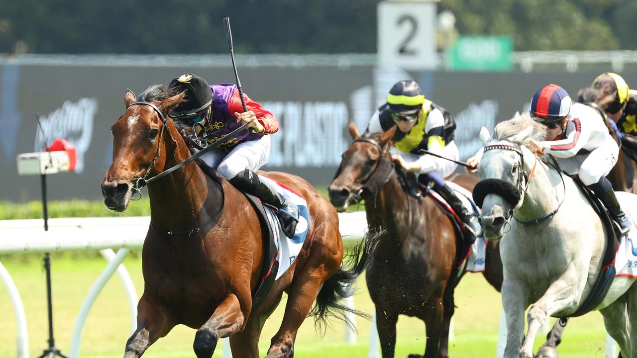 THE LAST SAY: Gilded Water to continue winning way?