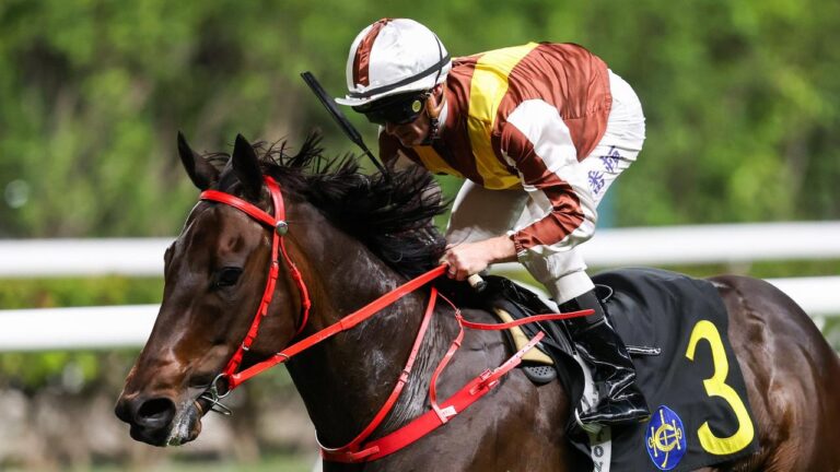 Hong Kong Horse Racing (News, Tips & Results) - Racenet