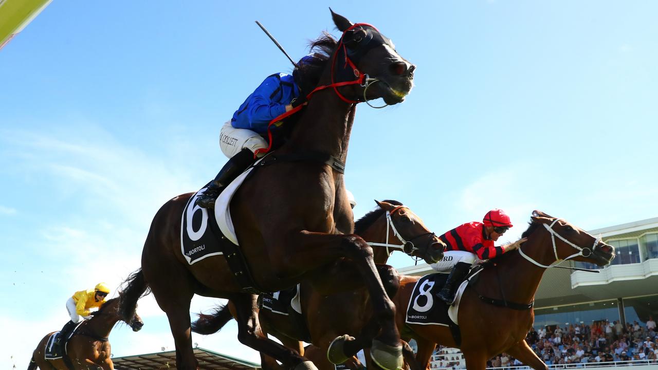 Race day preview for Monday's Australia Day card at Warwick Farm