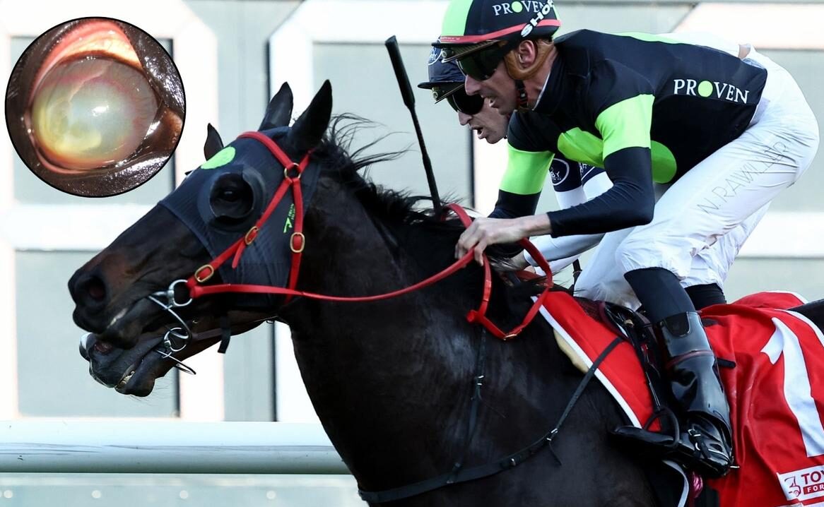 Private Eye has suffered a serious eye infection. Pictures: Proven ...