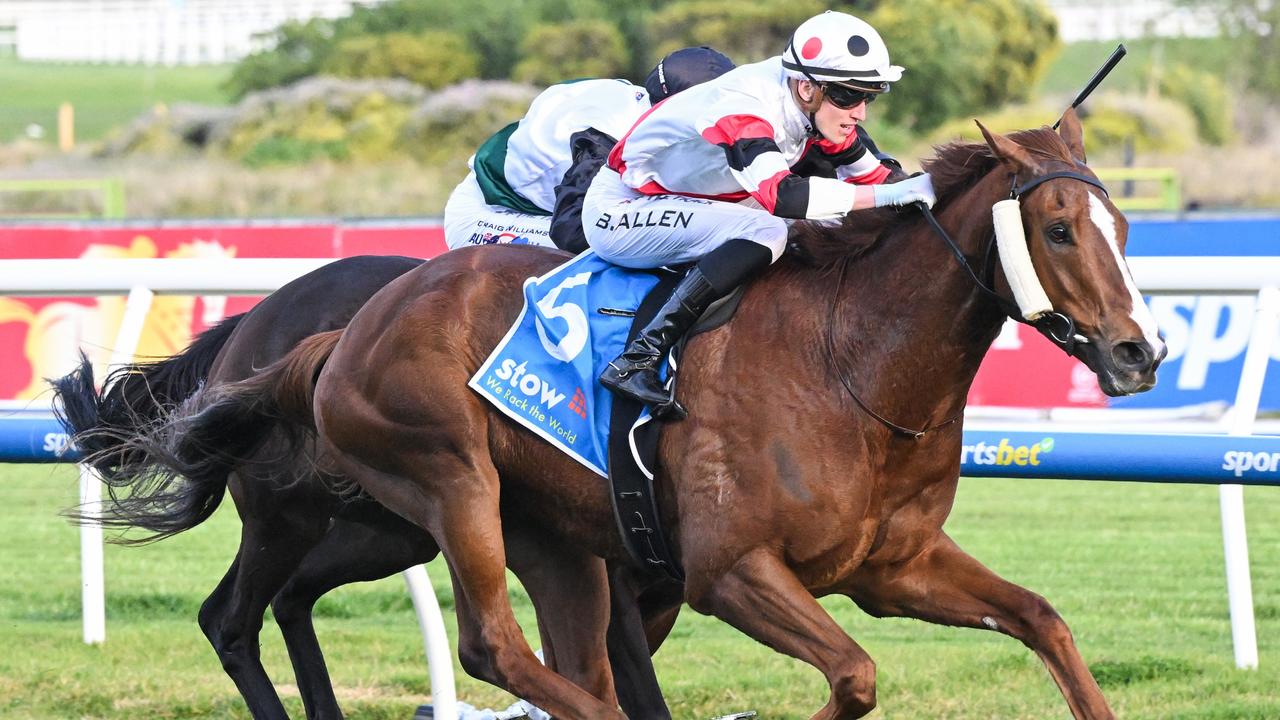 Pinstriped primed to strike in CF Orr Stakes