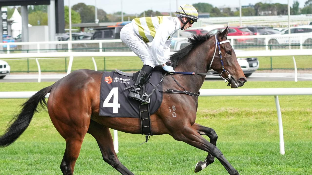 2025 Black Caviar Lightning Stakes: Skybird may bypass race