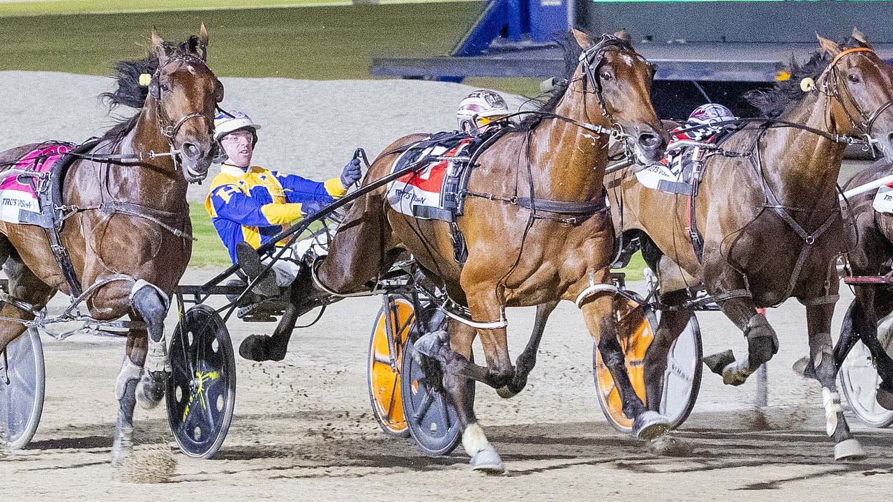 Albury on high alert as superstar pacer Swayzee rolls into town for the ...