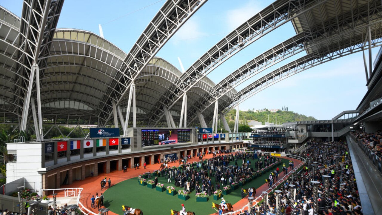 Sha Tin presenter selections: Sunday, February 16