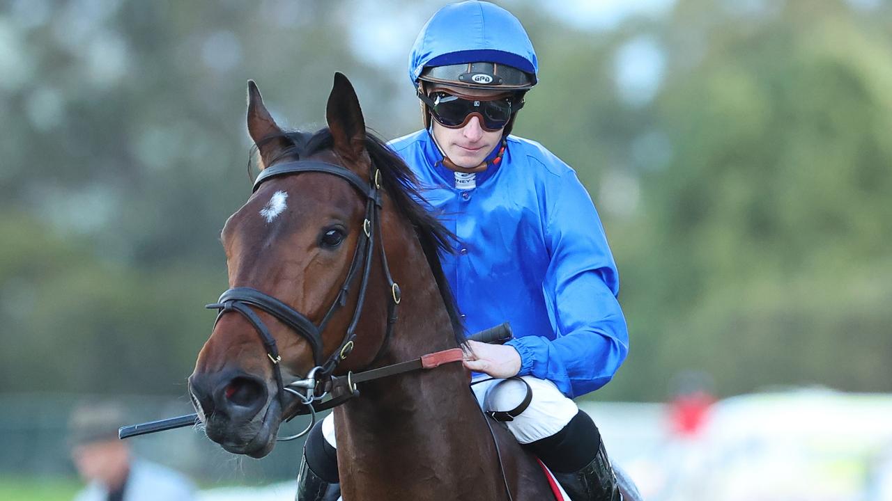 2025 Futurity Stakes: Tom Kitten, Pericles, Mr Brightside clash