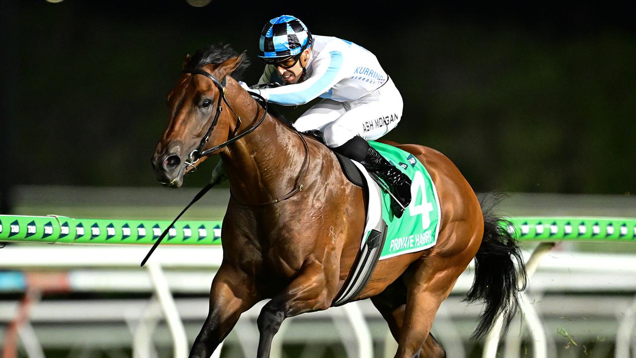 Boom sprinter Private Harry on track for Group 1 tilt after impressive ...