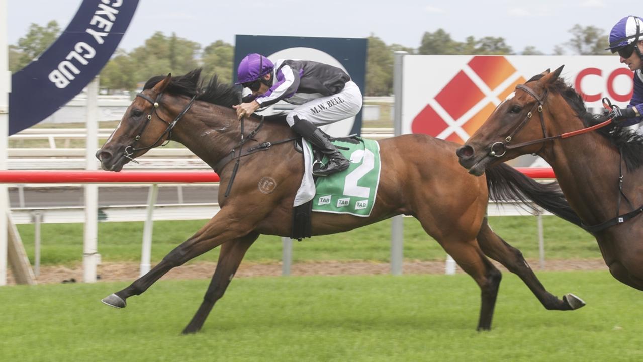 Grafton, Albury previews: Rivals to feel the ‘Rath' of Hull gelding