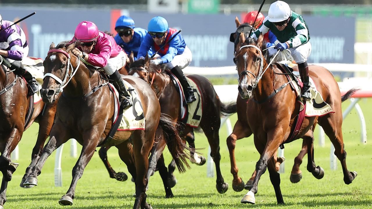 2025 George Ryder Stakes Field