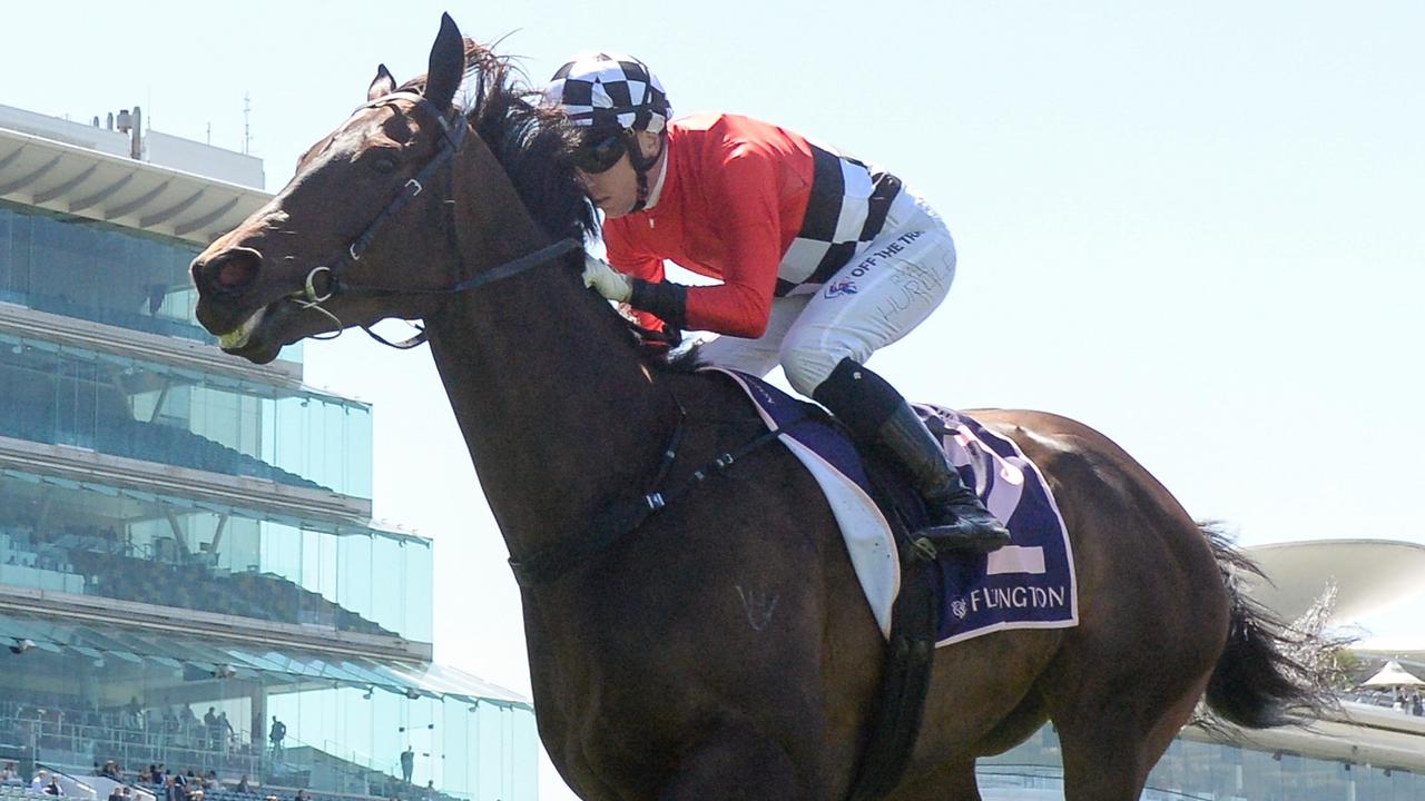 Revelare wins again at Flemington for trainer Robert Hickmott