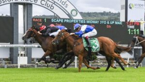 Gatton Racecourse - Form Guide, Track Map, Tips & Results