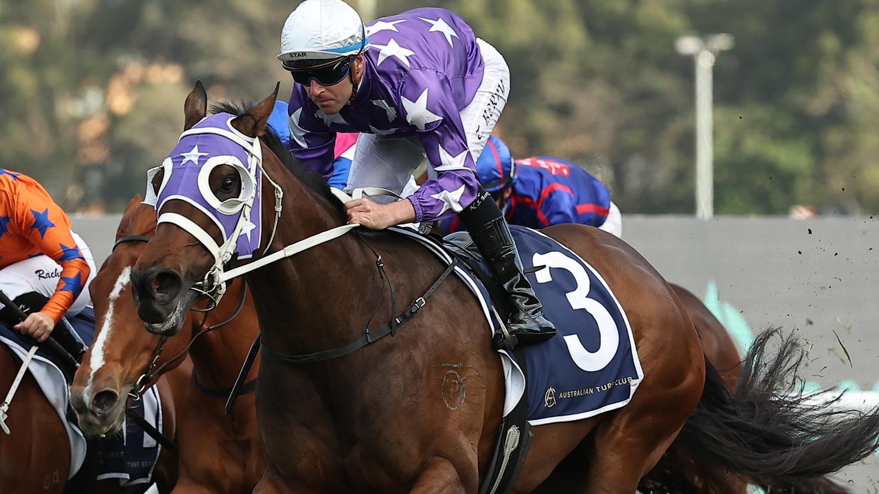 Coolmore Classic runner-by-runner form analysis and tips