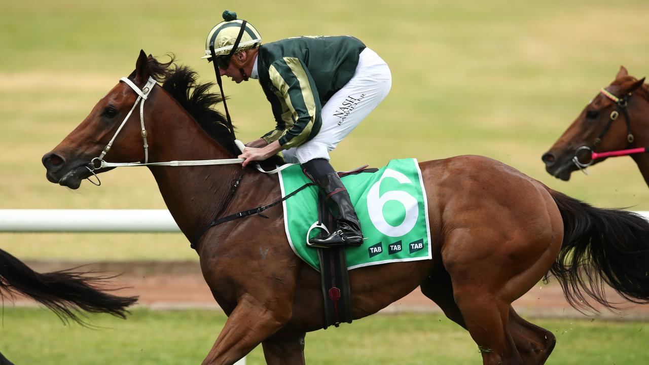 Gold Coast preview and tips for Saturday: $11 value play
