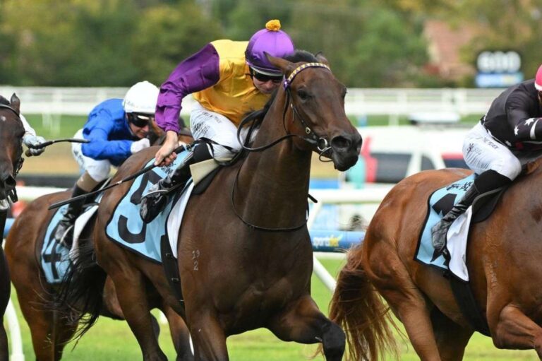 The Showdown 2025 Tips, Betting & Results - Racenet