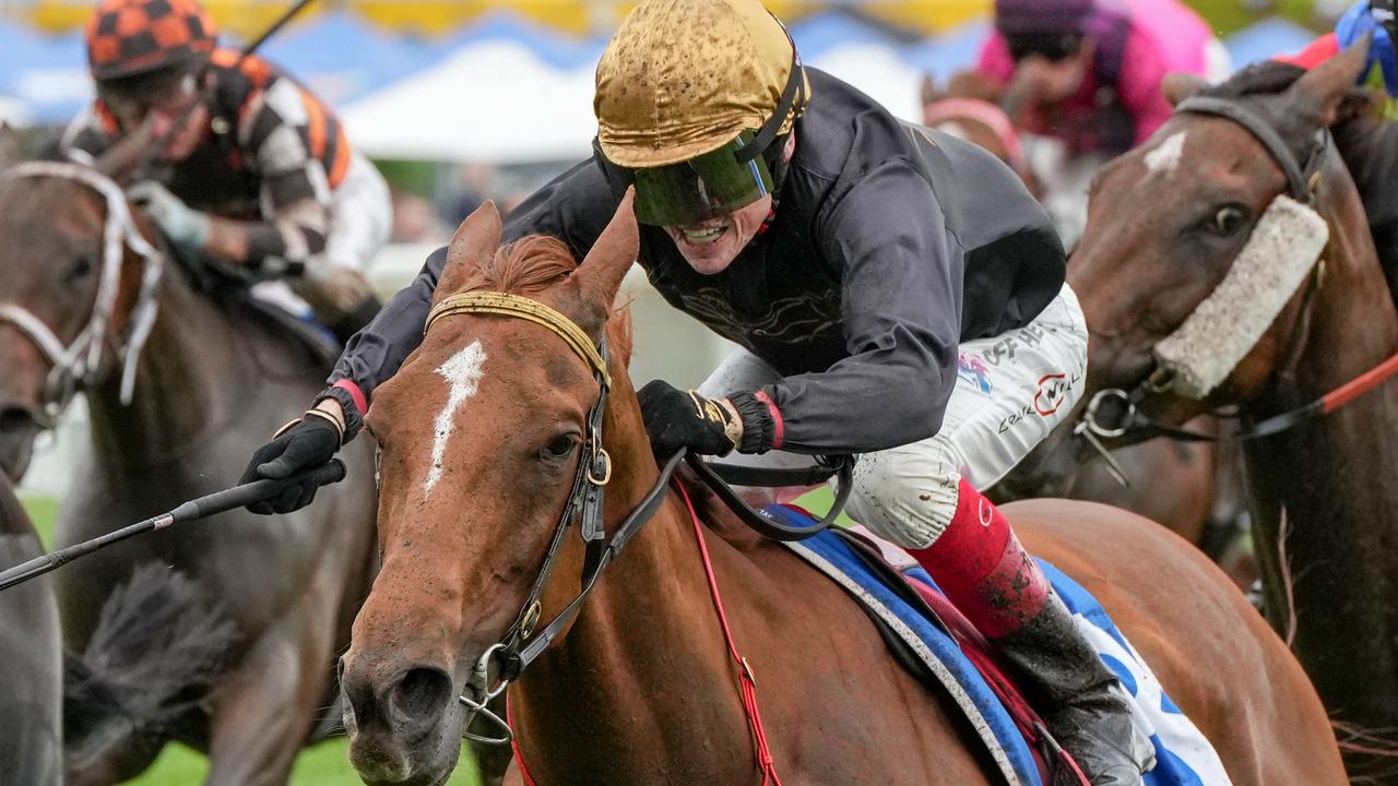 2025 Sunline Stakes: Rumbled Again aims for Valley upset