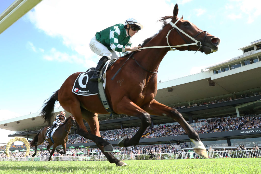 Ranvet Stakes 2026 | Tips, Odds, Field & Results | Racenet
