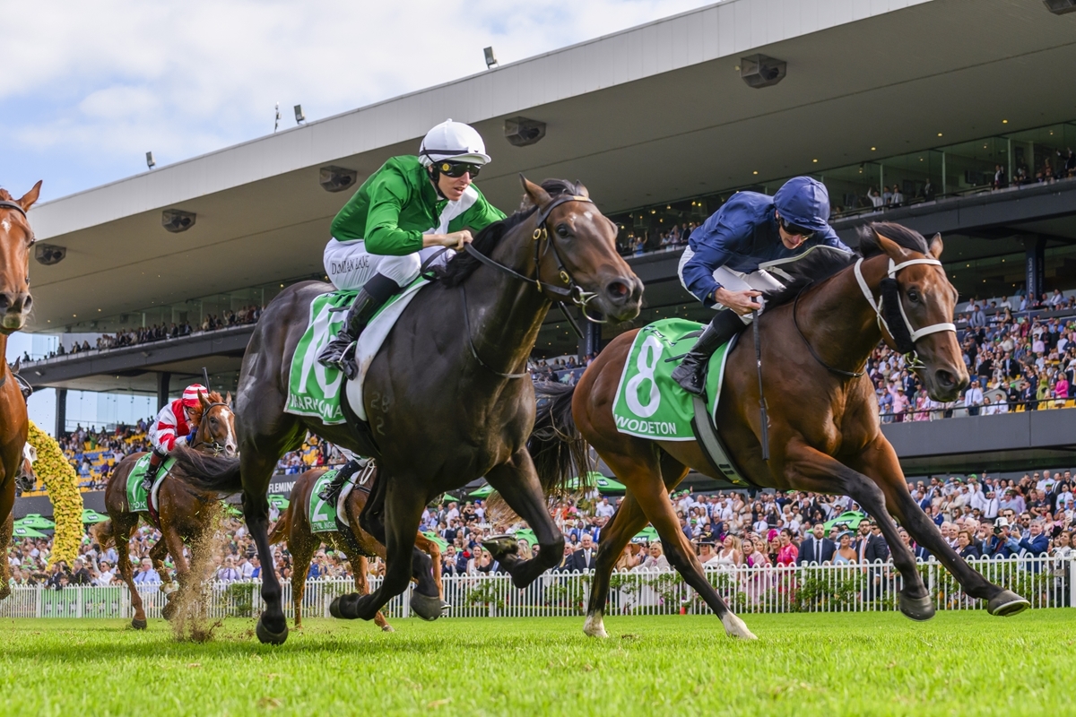 Golden Slipper 2026 Horses, Field, Tips & Results