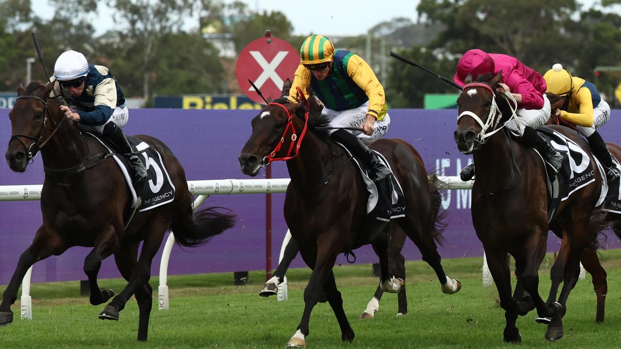 The Championships 2025: Joe Pride keen on ‘Plan A' for star galloper ...