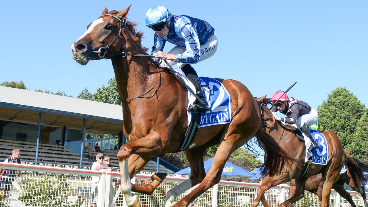 Brad Waters' Ballarat tips: Wednesday, April 2, 2025