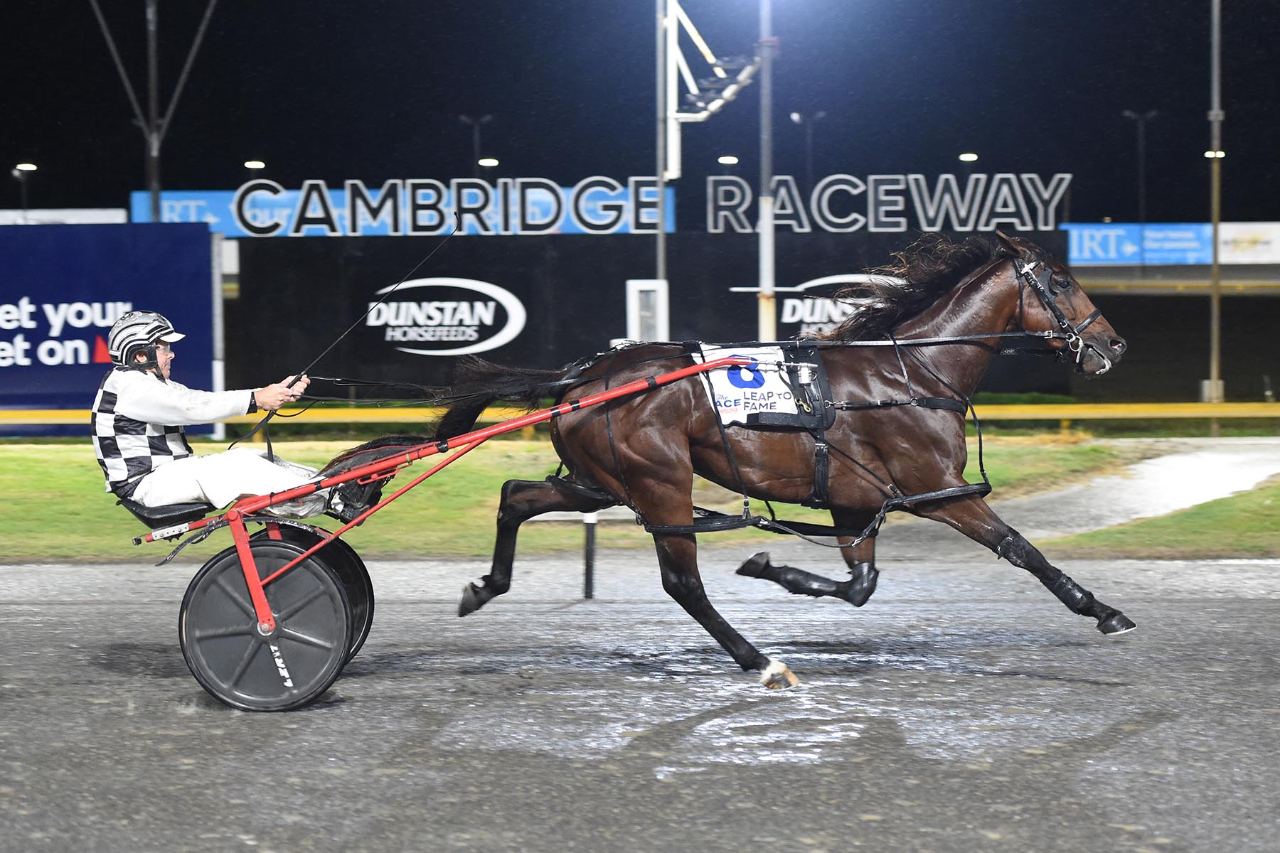 'Greatest yet': Leap To Fame stunning In Race by betcha - Racenet