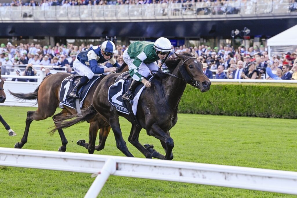 Australian Oaks 2026 | Tips, Odds, Field & Results | Racenet