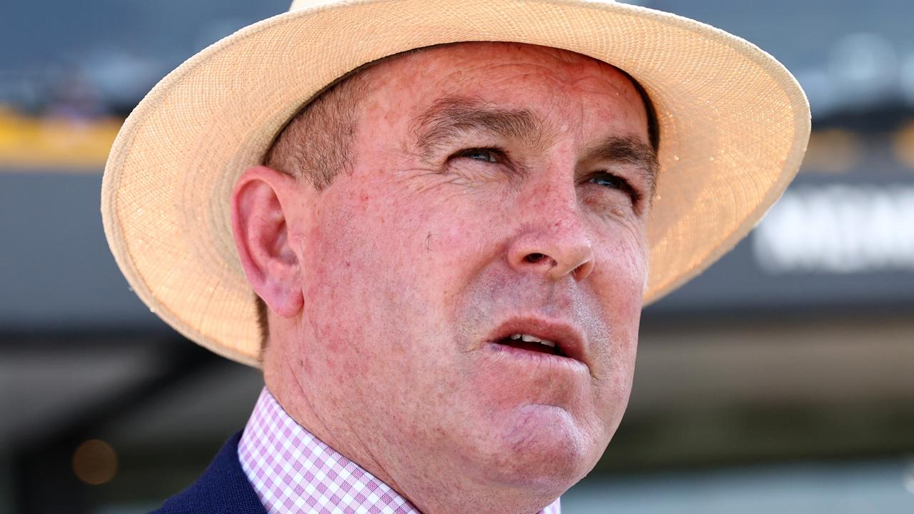 Trainer John O'Shea saddles Klondike at Randwick on Saturday