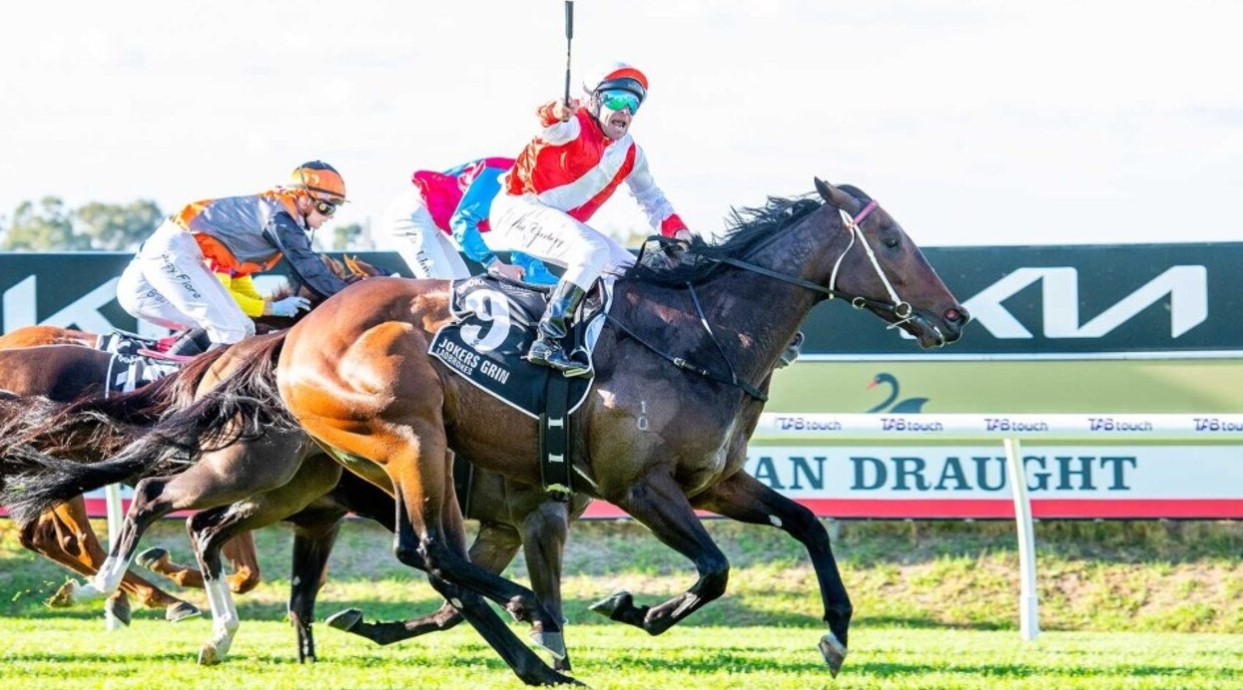 The Quokka Race 2026 Field, Tips & Odds - Racenet