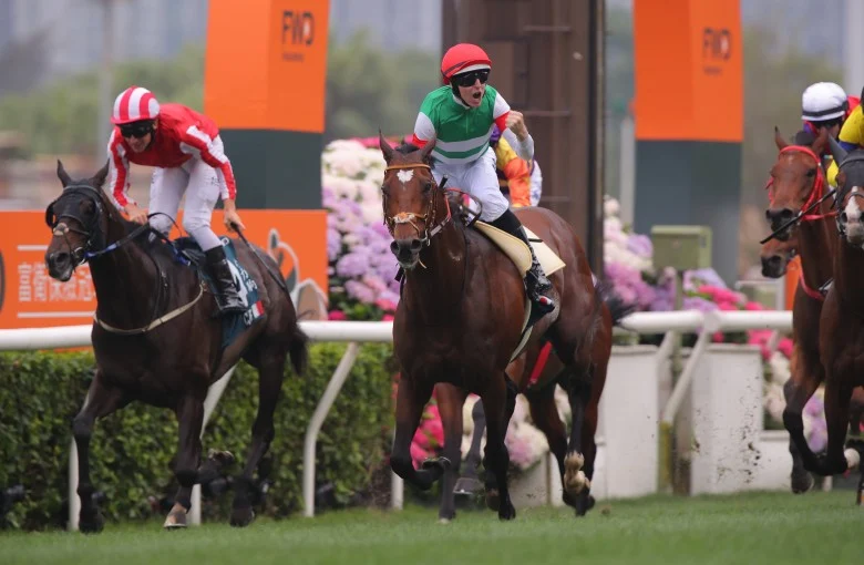 FWD Queen Elizabeth II Cup 2026 | Tips, Field & Results | Racenet