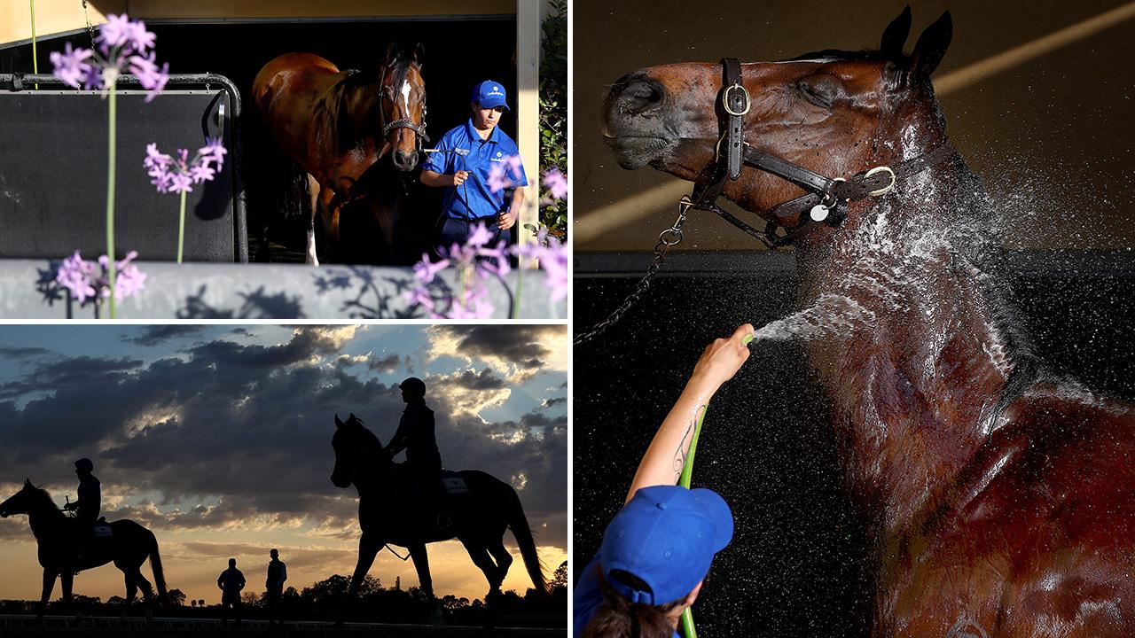 Godolphin Australia: Crown Lodge, Osborne Park future up in air