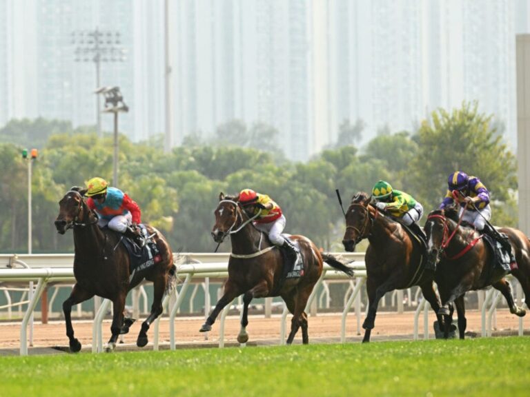 Hong Kong Horse Racing (News, Tips & Results) - Racenet