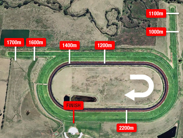 Scone Cup Racing Carnival (2026 Calendar & Dates)