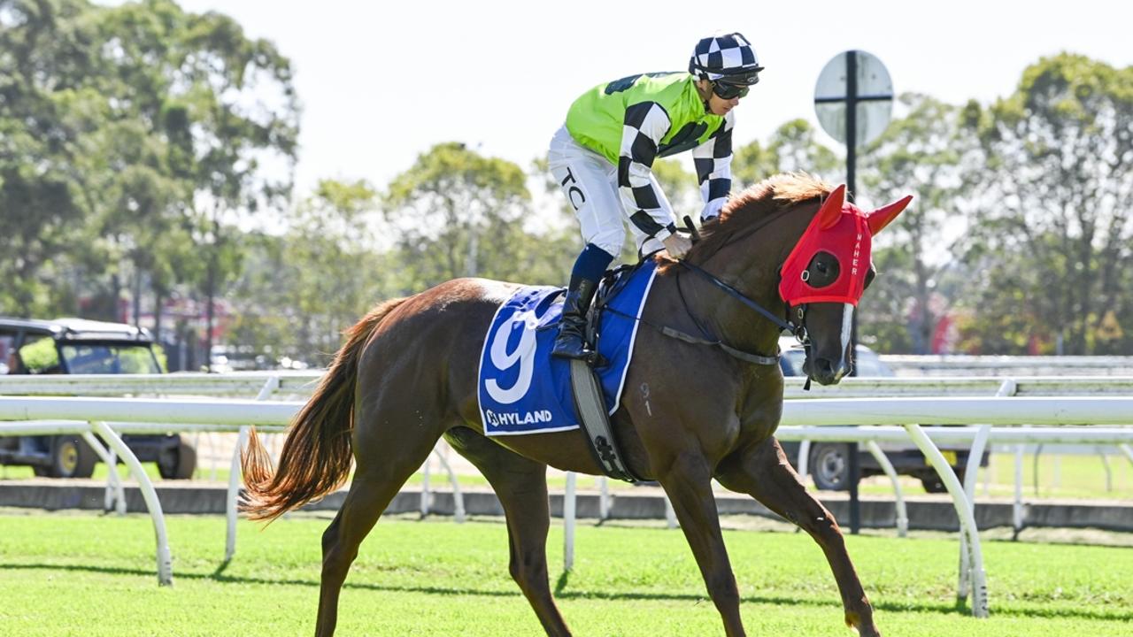 Randwick-Kensington preview: Strong hand has Ciaron Maher in box seat