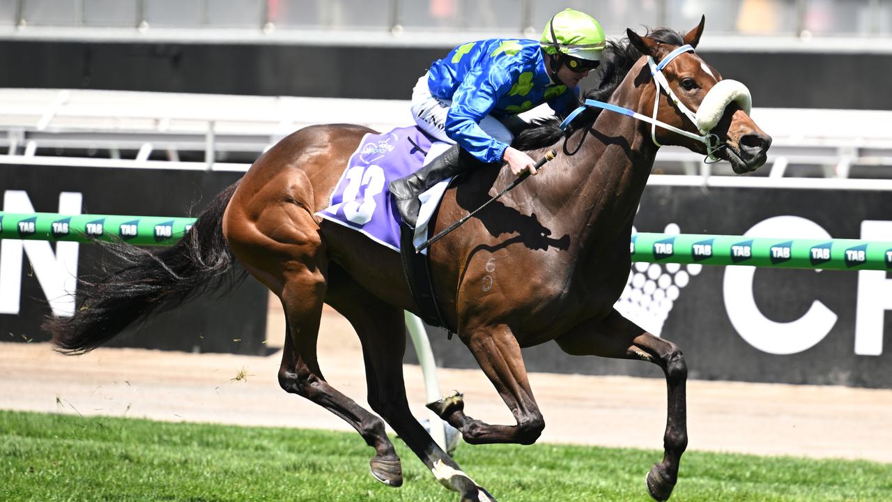 Laurie Sainsbury's tips: $23 chance in the get out