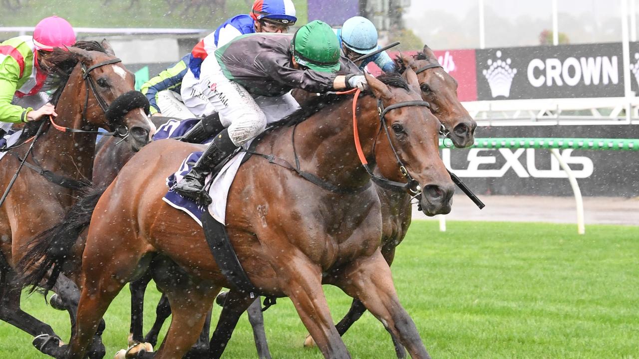 Tom Prebble delivers knockout blow for punters with $71 outsider Title ...