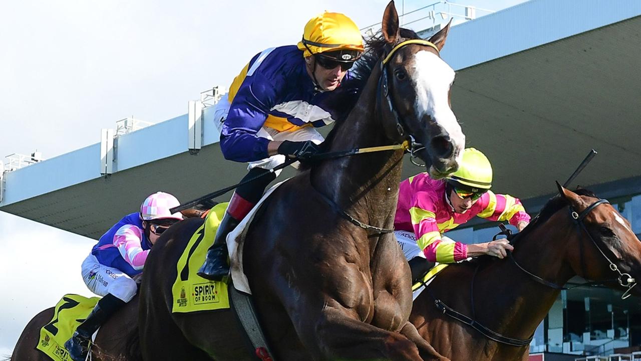 2025 BRC Sprint: Robert Heathcote saddles up Abounding