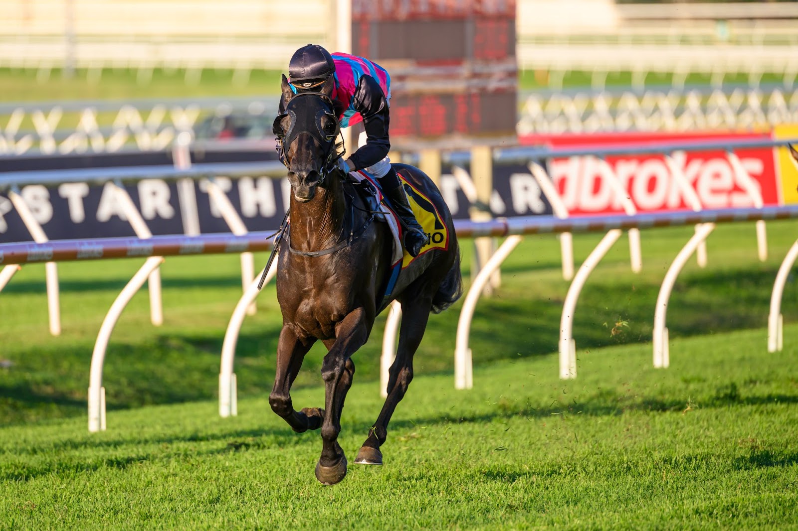 Doomben Cup 2026 | Tips, Odds, Field & Results | Racenet