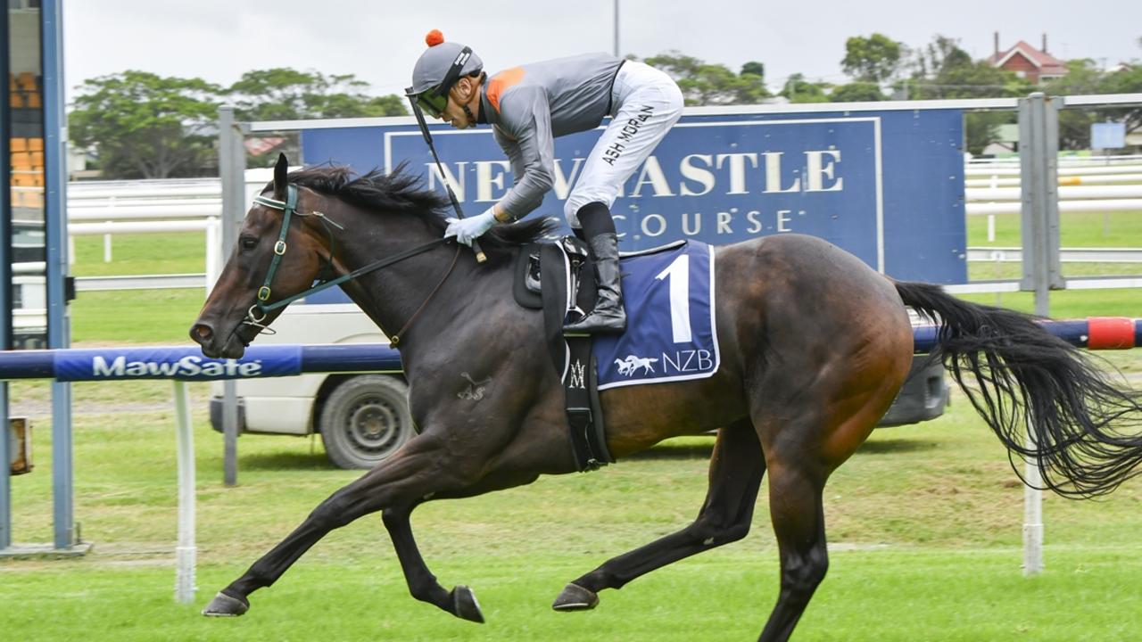 Gosford, Inverell previews: Adam Duggan hoping for a Divine result in ...