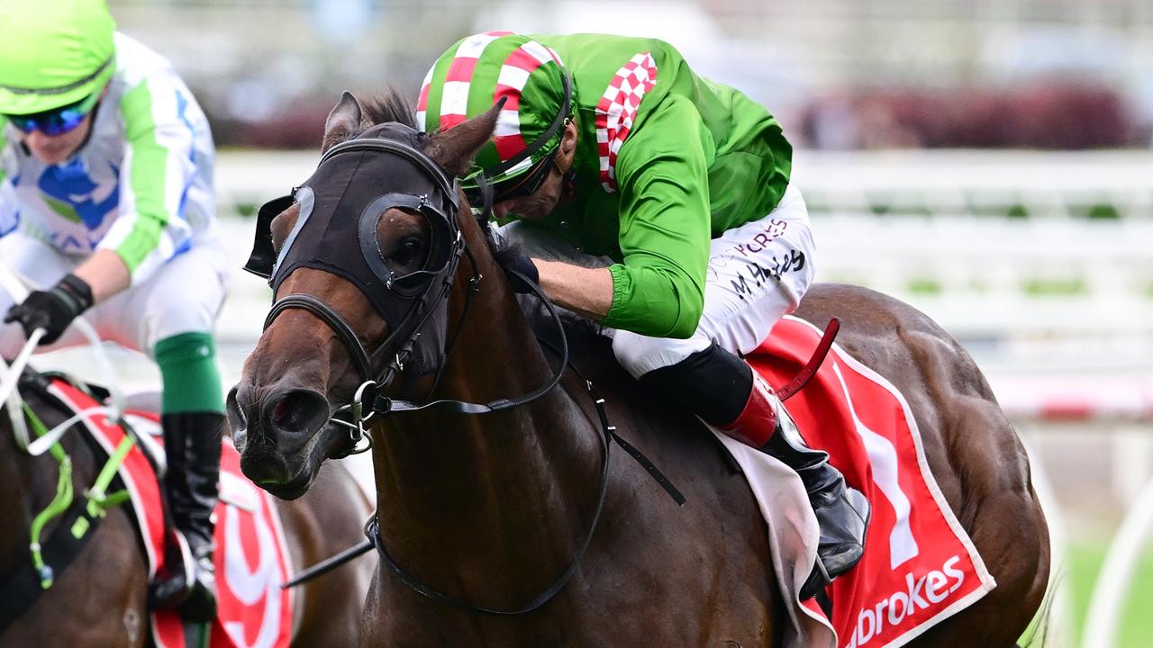 Chris Munce baffled at lack of respect for his colt ahead of BRC Sires ...