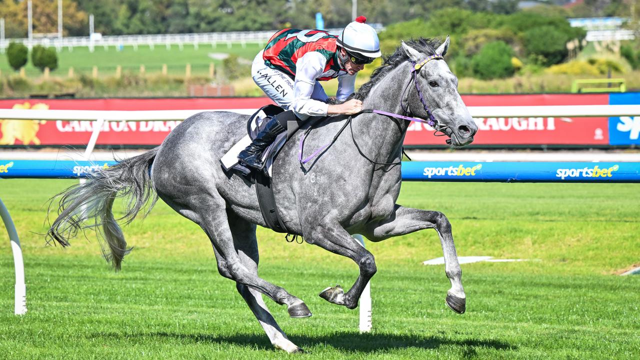 2025 Queensland Derby runner-by-runner form analysis and tips