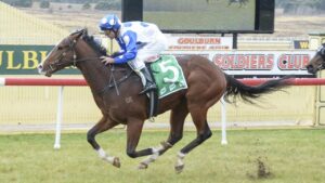 Wingatui Racecourse - Form Guide, Track Map, Tips & Results